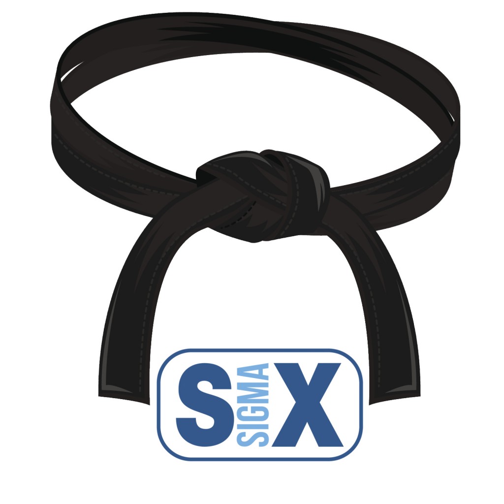 Black Belt Upgrade - SixSigmaEspanol.com